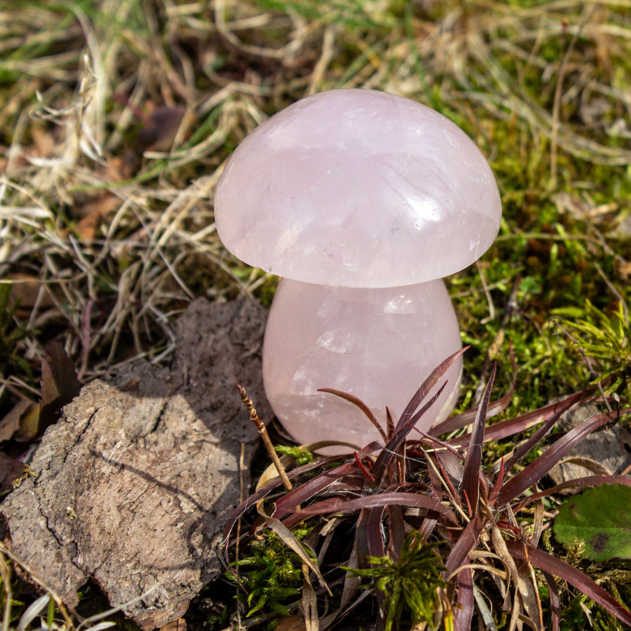 Polished Crystal Mushroom Carvings | Ancient Share, LLC